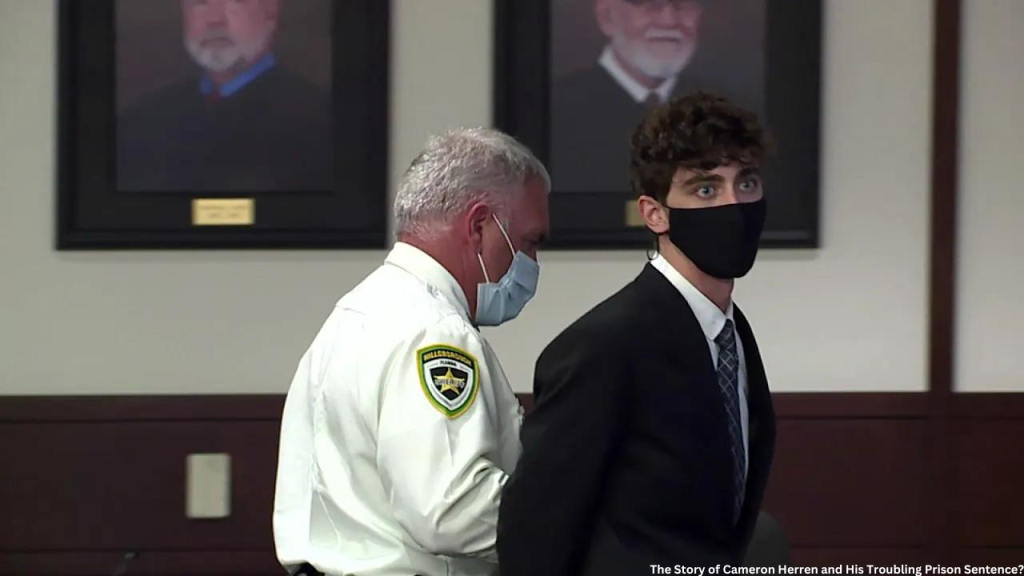 Cameron Herrin: A Deep Dive into the Case that Gripped the Nation ...