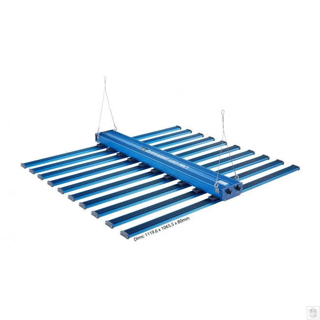 Maxibright LED: The Ultimate Guide to the Future of Efficient Lighting ...