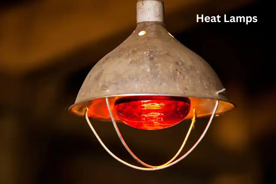 Heat Lamps: A Comprehensive Guide - Vents Magazine