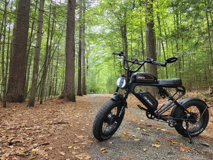 Meelod DK300 Max | Powerful Fat Tire Ebike for All Terrains - Vents ...