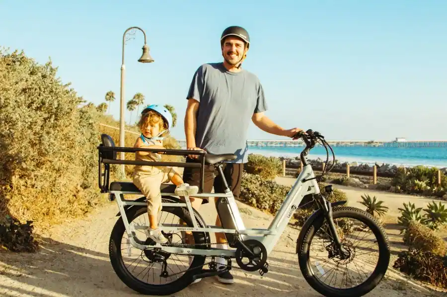 Letrigo Minivan SE: How Can a 750-Watt Electric Cargo Bike Change My ...